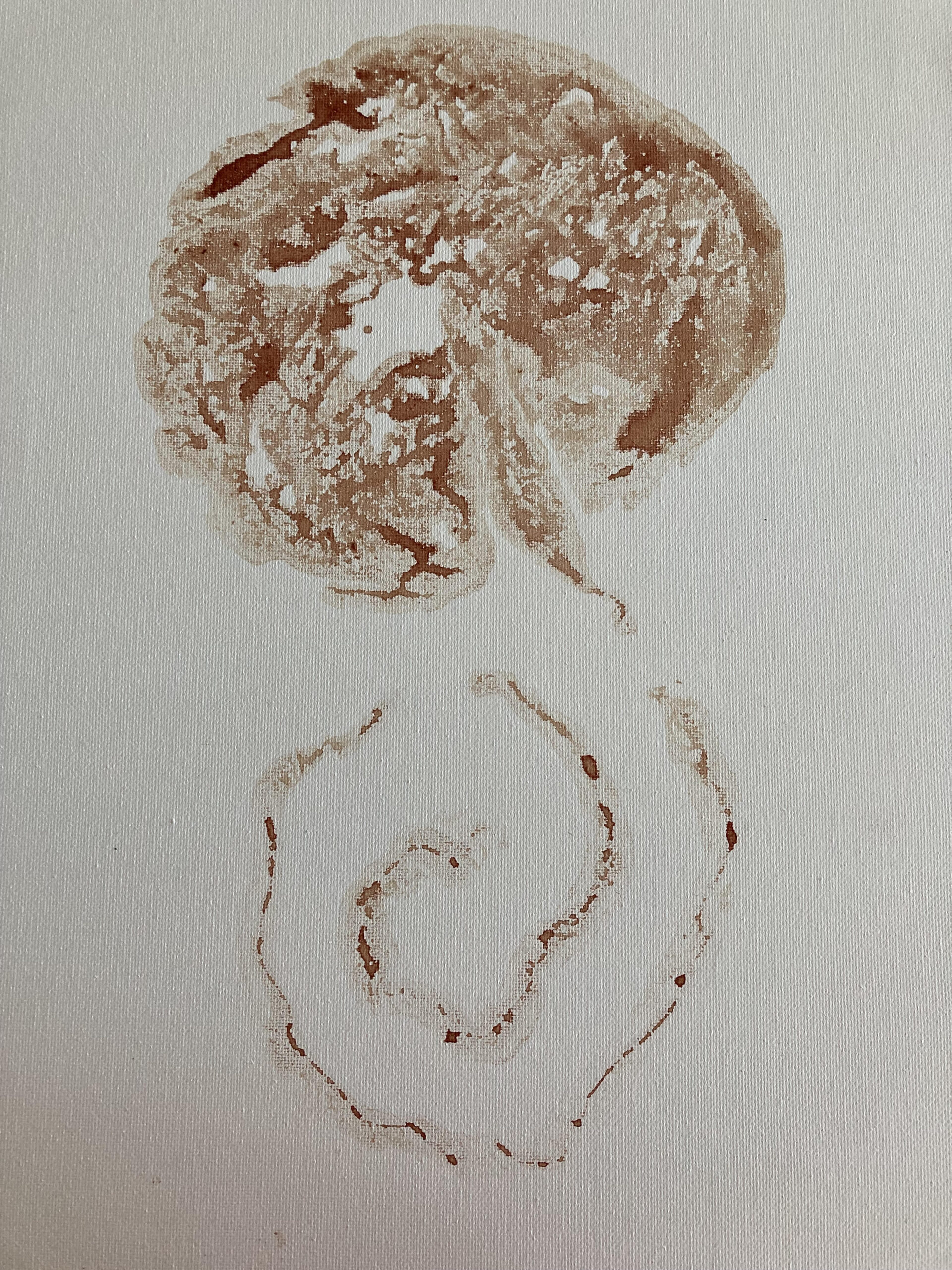 Placenta Services - Homegrown Families: Childbirth Education, Birth ...